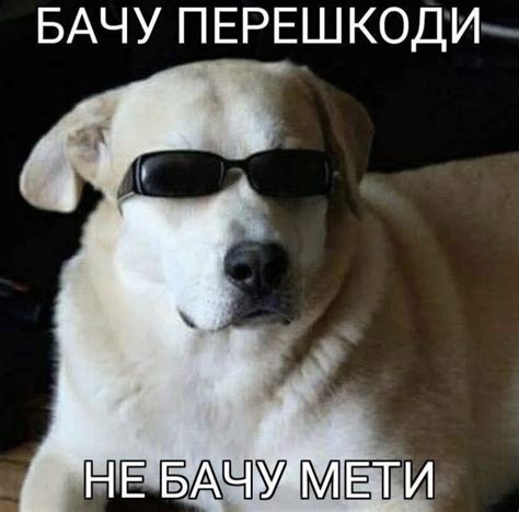 Даша 🍉🇺🇦 on Twitter: "RT @NetaNatalie: Це ж я"