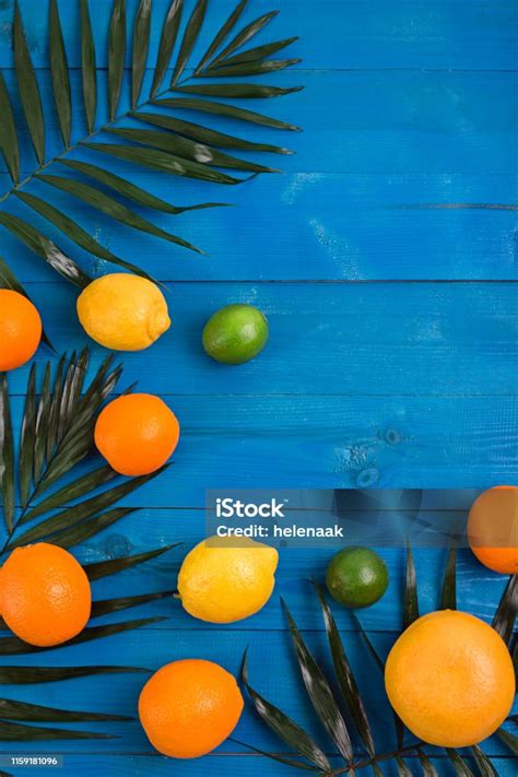 파란색 나무 테이블에 다양한 과일 녹색 잎과 꽃 열대 여름 배경 0명에 대한 스톡 사진 및 기타 이미지 0명 개념 공휴일 Istock