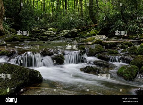 The Roaring Fork Stream Behind The Historic Jim Bales Place Along The