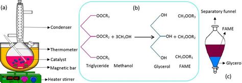A Schematic Of The Reflux System For Wso Trans Esterification With The Download Scientific