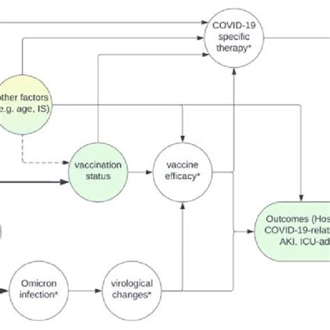 Causal Diagram Summarizing The Assumptions Underlying The Analysis