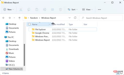 如何调整所有列的大小以自动适应windows 11 莱卡云