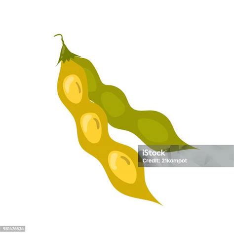 간장 콩 깍 지 벡터 아이콘입니다 유해한 먹는 만화 그림을 흰색 배경에 고립 0명에 대한 스톡 벡터 아트 및 기타 이미지 0