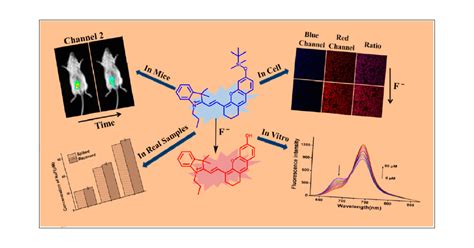 In Vivo Fluoride Ion Detection And Imaging In Mice Using A Designed