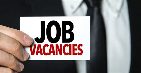 Government Jobs 2023 ग्रेजुएट्स ध्यान दें यहां है आपके लिए सरकारी