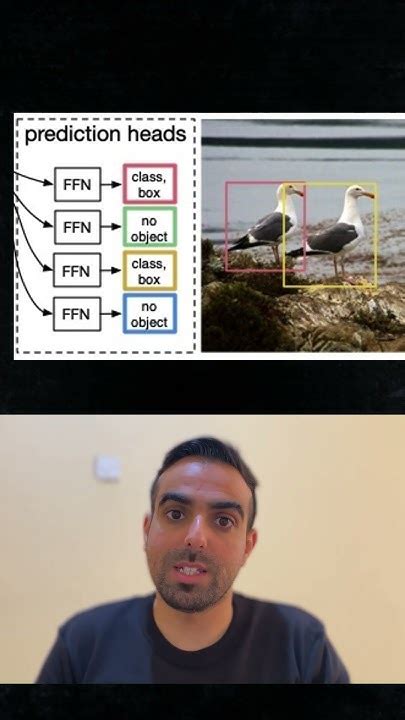 Detr Object Detection Ai Pytorch Deeplearning Objectdetection Youtube
