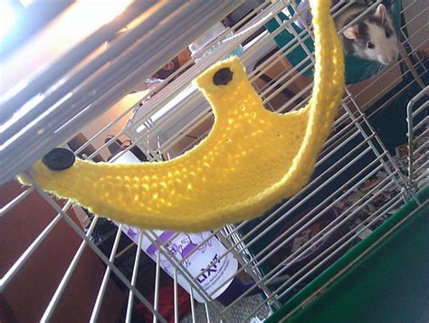 Ravelry Rat Hammock Pattern By Ashley Britt