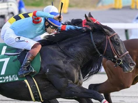 【金鯱賞】平成以降で最多タイの中京6勝目へ ヤマニンサルバムが重賞連勝なるか 競馬ニュース Netkeiba