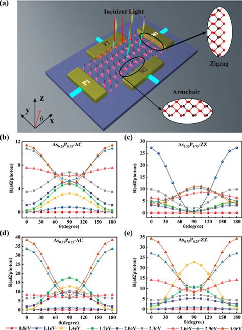 Illustration Of Photodetector Device Of Monolayer As X P 1−x And Download Scientific Diagram