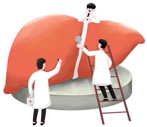 Interpretation On Clinical Significance Of Adenosine Deaminase Ada Hipro Biotechnology Co Ltd