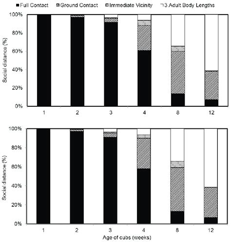 Social Distance Between Mother And Twin Giant Pandas A Fu Feng And B Download Scientific