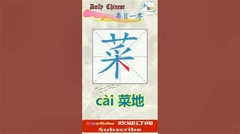【每日汉字 Daily Chinese 学汉字，学笔顺】 菜字（learn Chinese Character