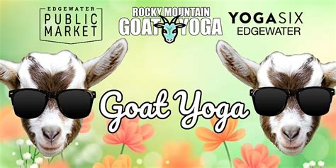 Goat Yoga At Yogasix Edgewater Public Market