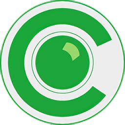 Loosafe Loosafe V