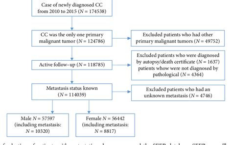 Figure 1 From Female Colon Cancer Metastasis Pattern And Prognosis A