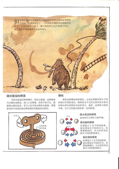 弹簧