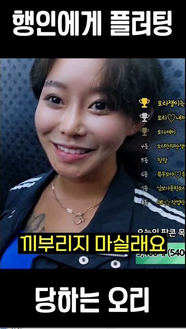 행인에게 플러팅 당하는 오리 Clip 팝콘티비