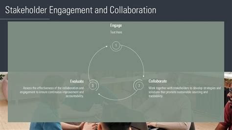 Top 10 Timber Powerpoint Presentation Templates In 2025