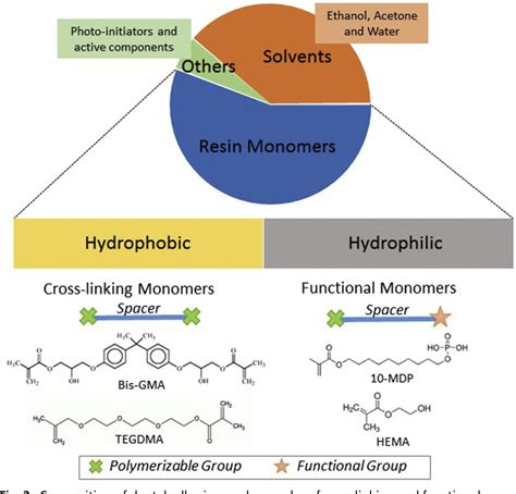 Figure 1 From An Overview Of Dental Adhesive Systems And The Dynamic Tooth Adhesive Interface