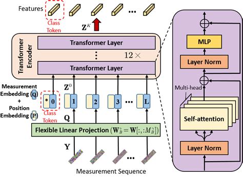 An Overview Of Our Proposed Transformer Based Compressive Learning Download Scientific Diagram