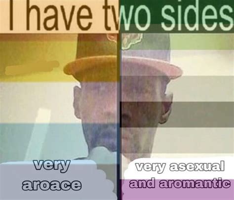 Mom Its My Turn To Do The Aroace Bingo Raroacememes