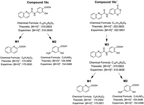 Schematic Illustration Of The Suggested Structures Of Metabolites For Download Scientific
