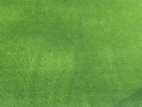 Plain Pvc Artificial Grass Mat For Garden 40 Mm At ₹ 75sq Ft In