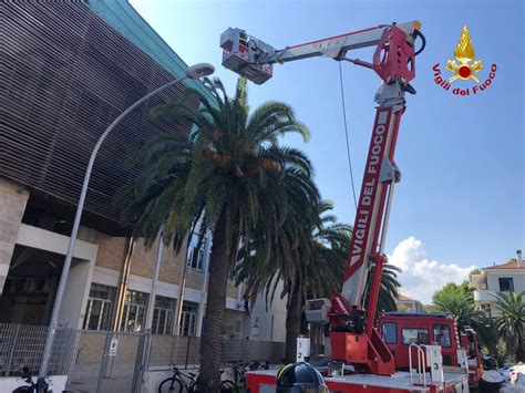 San Benedetto In Fiamme Una Palma In Piazza Sciocchetti I Vigili Del