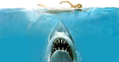 Jaws Movieweb