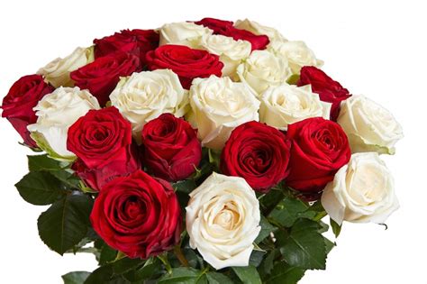 Bouquet Of Red And White Roses