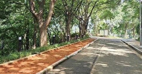 이 계절에 꼭 가봐야 할 맨발로 걷기 좋은 길과 산