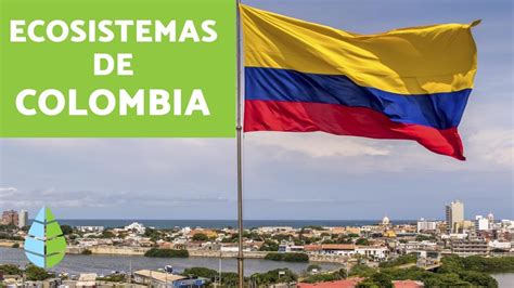 Características De Los Ecosistemas De Colombia