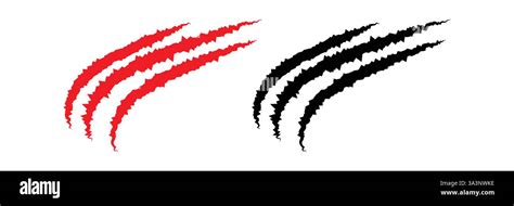 Animal Claw Scratches Wild Animal Claws Scratch Texture Vector