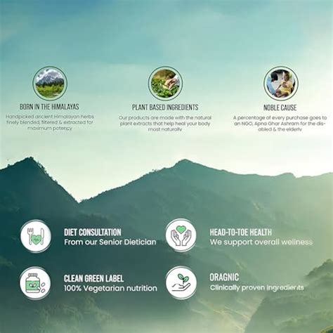 Himalayan Organic Plant Based Zinc With Vitamin C Supplement