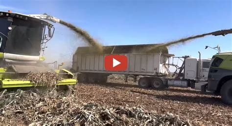 Califarmer30 2022 Silage Season Recap Claas Choppers John Deere