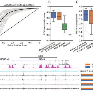 The Performance Of Predicting TF Binding Sites Using TF Motif Scores Download Scientific
