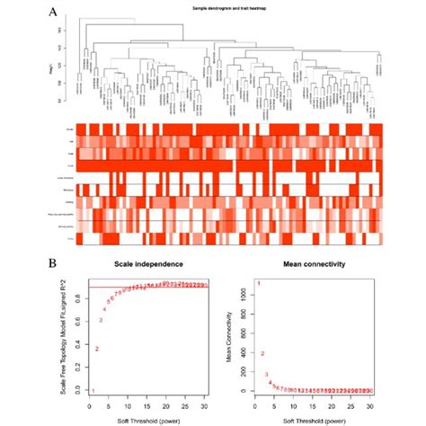 Sample Dendrogram And Soft Thresholding Values Estimation A Sample