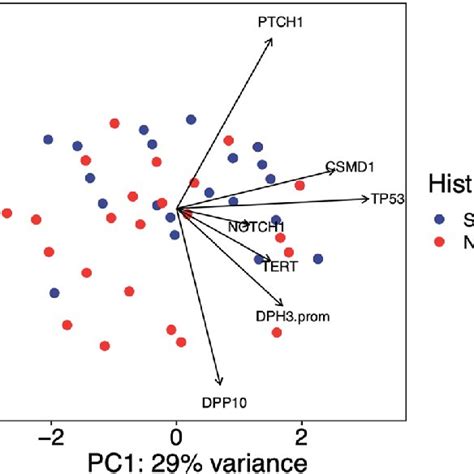 two dimensional principal component analysis pca of genetic