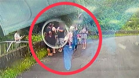 桃園北上坪林戲水遭青竹絲「蛇吻」 遊客緊急送醫注射血清 社會 三立新聞網 Setncom