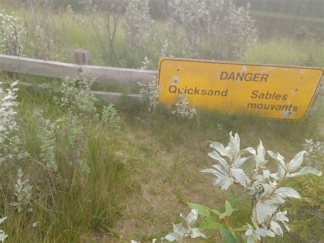 Quicksand sign | Quicksand, Dangerous, Signs