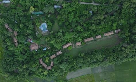 Serene Vibrancy At Temple Tiger Green Jungle Resort — Green Jungle Resort