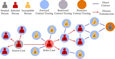 The Contact Tracing Network Showing How Various Dct Strategies Can Be Download Scientific