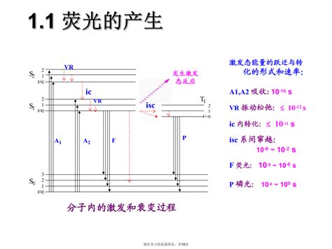 分子荧光分析法实验
