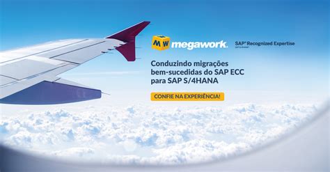 Megawork Uma Das Principais Consultorias Sap Do Brasil