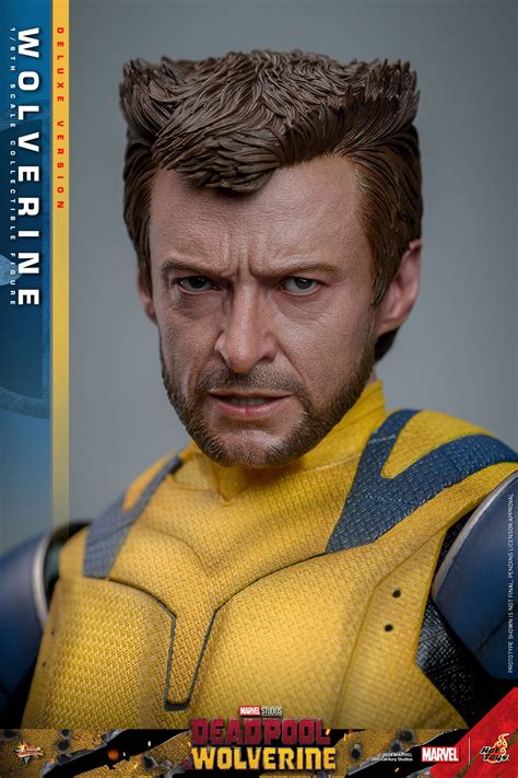 Slideshow Hot Toys Deadpoool And Wolverine Wolverine Figure Image Gallery