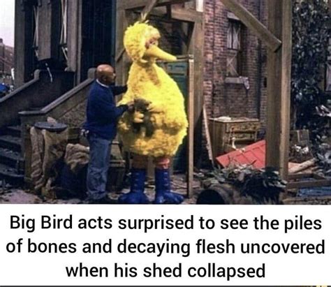 Big Bird Totally Surprised Rconspiracymemes