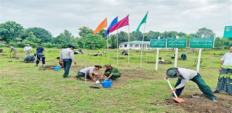 ငဖဲမြို့နယ်၌ မိုးရာသီသစ်ပင်စိုက်ပျိုးပွဲကျင်းပ Myawady Webportal