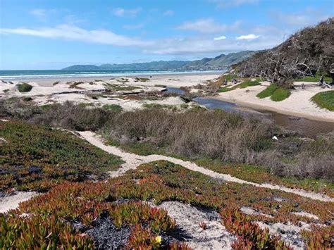 North Beach Campground Pismo State Beach Your Coastal Camping