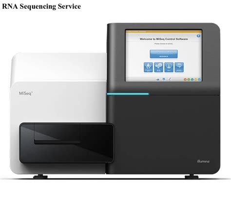 Rna Sequencing Service In Aurangabad Id 2852338572055