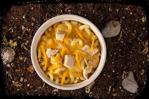 Chicken Mac And Cheese By Beyond Outdoor Meals 710 Calories 2 Servings